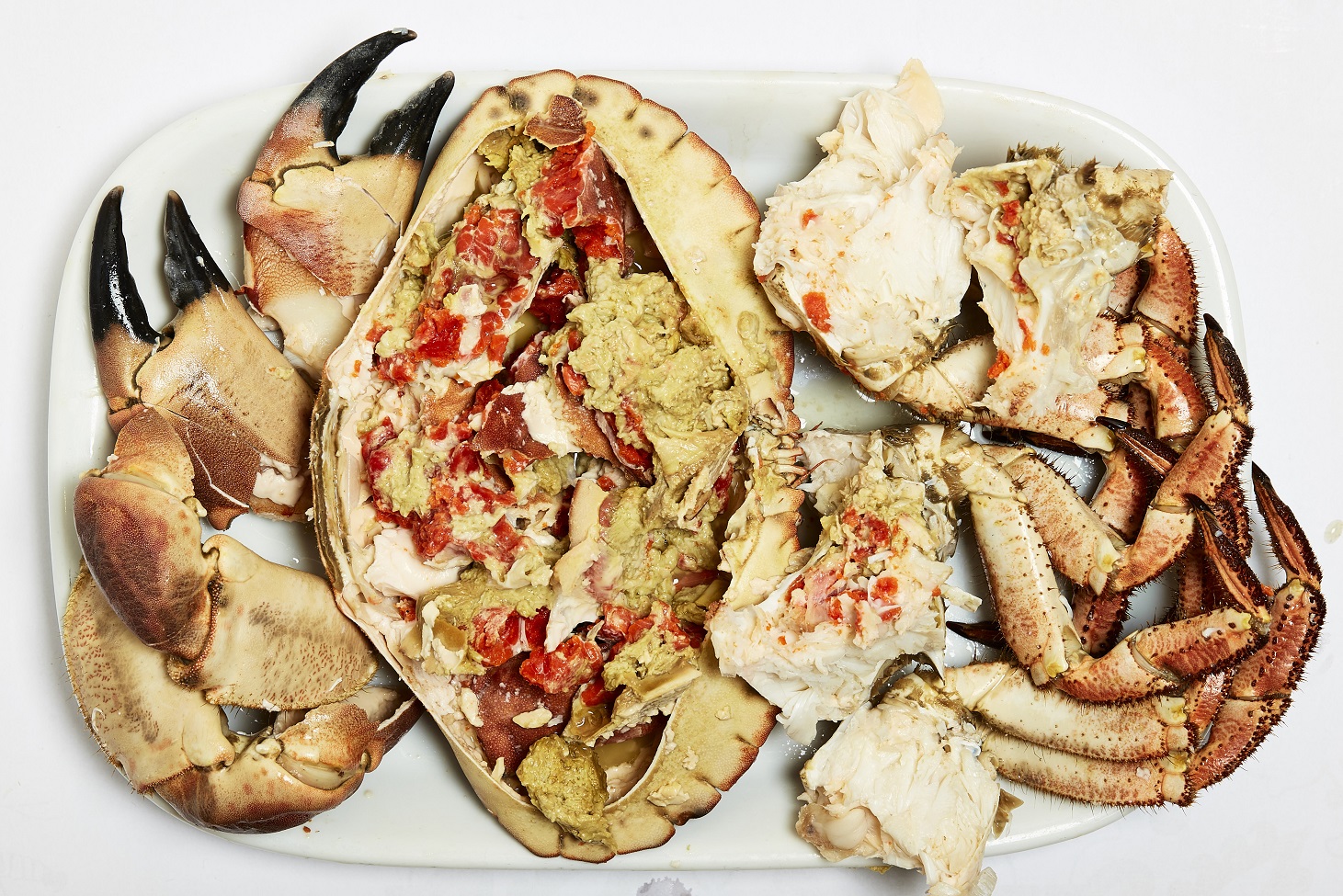 Quer jantar marisco? Faça o pedido ao restaurante Ramiro e receba em ...