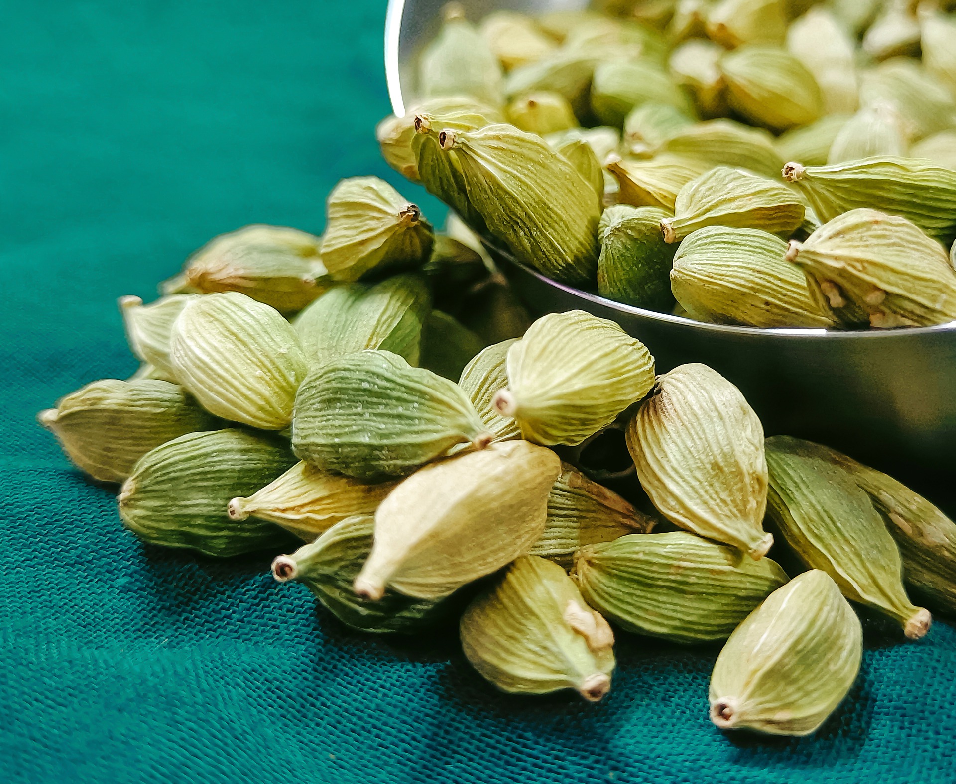 Benefícios do cardamomo para a saúde