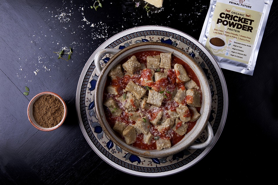 Imagina-se a comer insetos? Pode vir a acontecer em Portugal