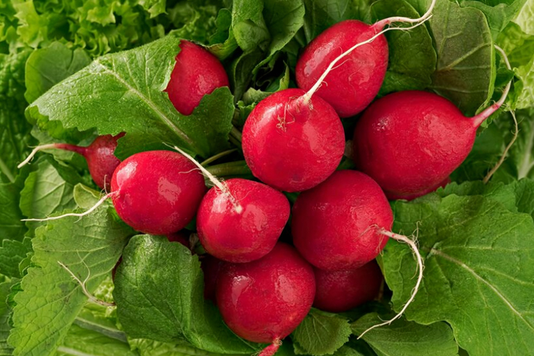 Descubra os benefícios surpreendentes do rabanete: de certeza que nunca ...