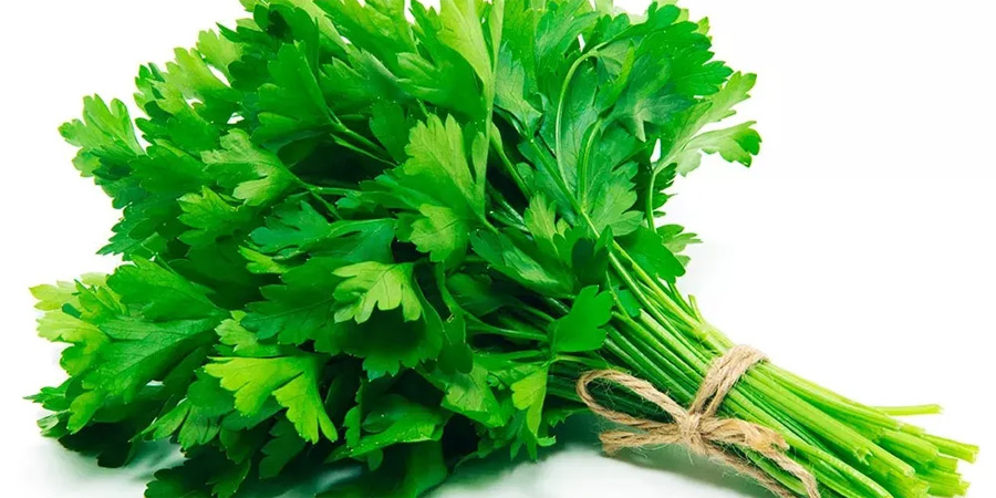 Salsa: use e abuse deste condimento que é também uma planta medicinal