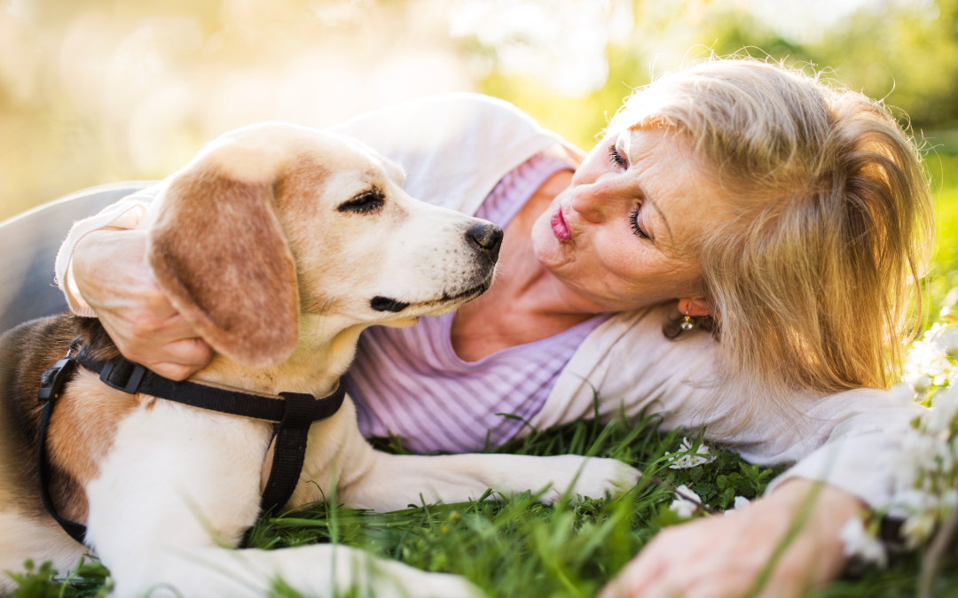 Na conta certa e com os devidos cuidados, são estes os benefícios de ...